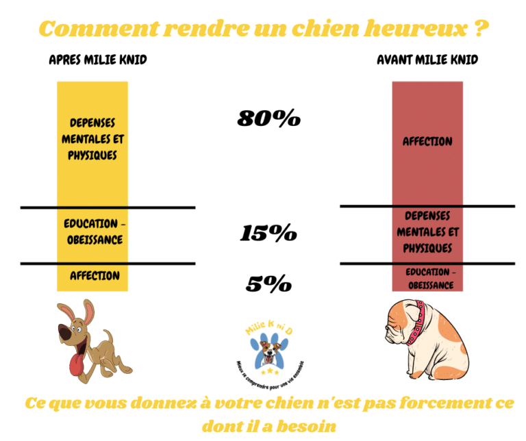 Les besoins fondamentaux des chiens - Milie KniD Les besoins fondamentaux des chiens - Milie KniD